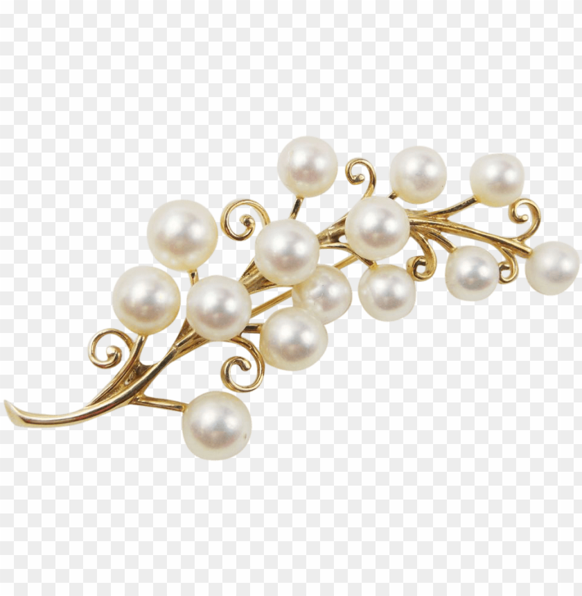 Free download | HD PNG earl brooch png mikimoto 14k yellow gold akoya ...