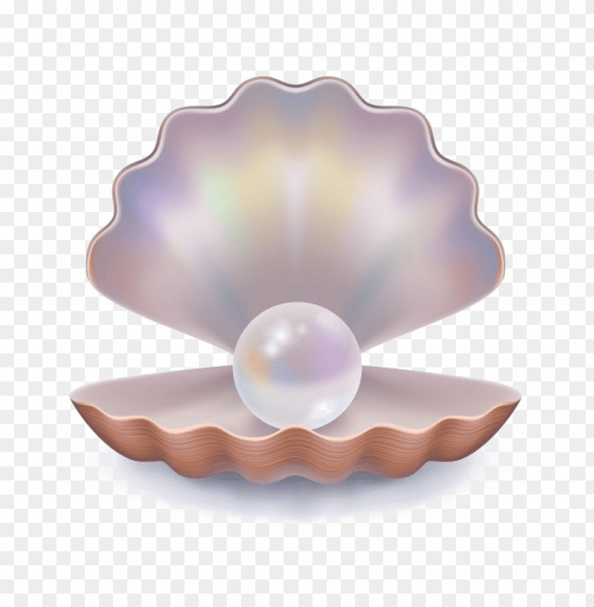Free download | HD PNG earl download png image open clam shell vector ...