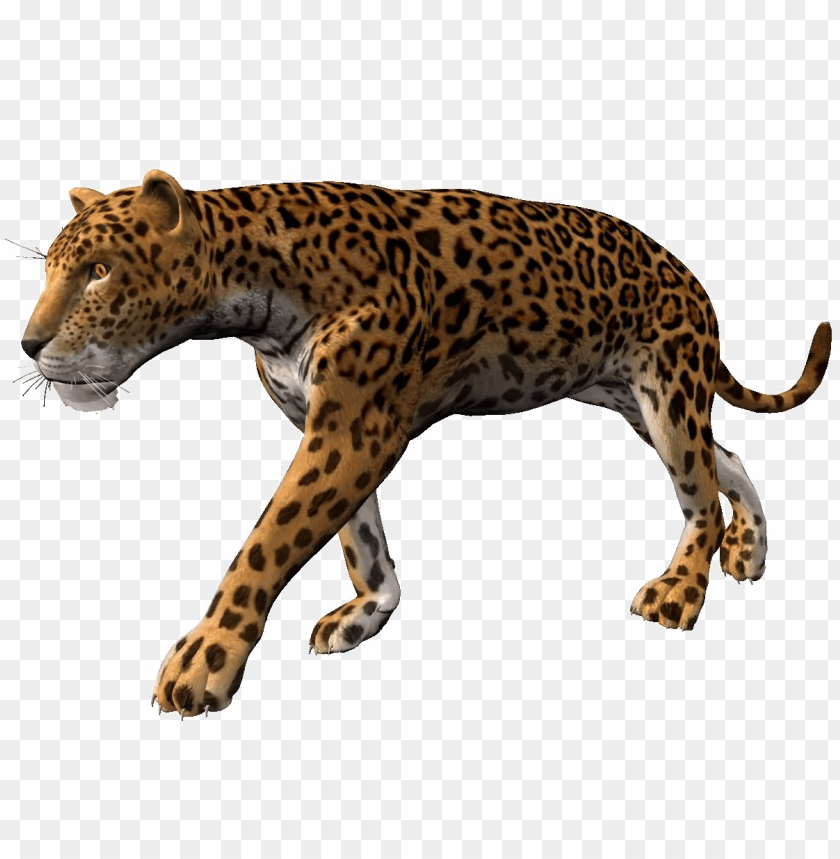 Free download | HD PNG elephant alpha channel PNG transparent with ...