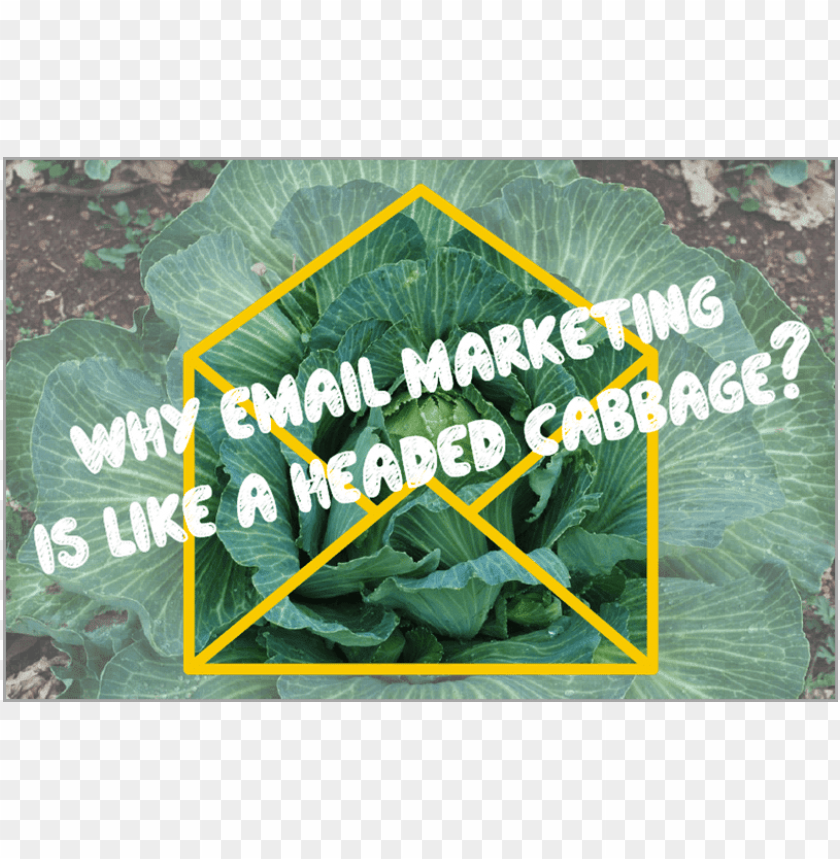 Free download | HD PNG creative email marketing design PNG transparent ...