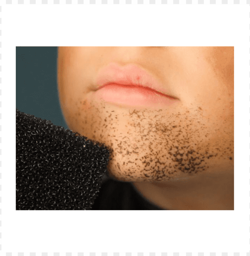 Free download | HD PNG eponges stipple stipple sponge use PNG ...