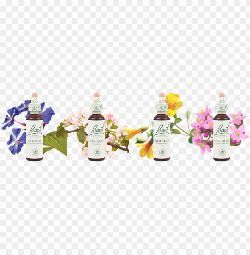 Free download | HD PNG essências florais de bach traditional medicinals ...