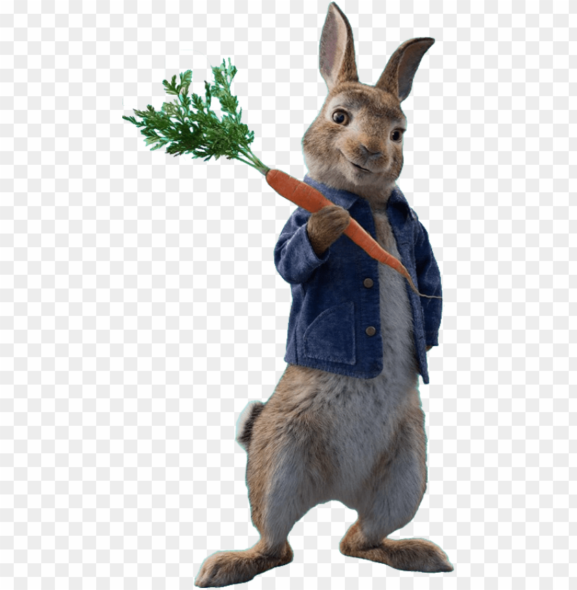 Free download | HD PNG eter rabbit peter rabbit movie PNG transparent ...