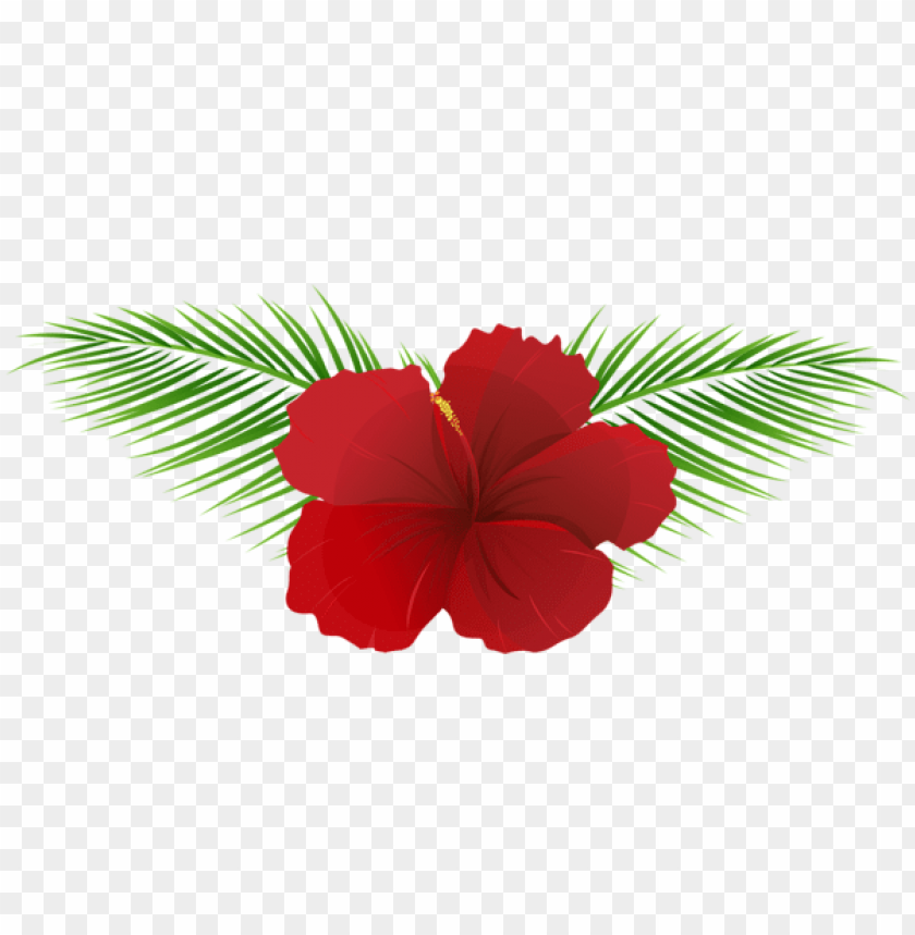 Free download | HD PNG PNG image of exotic flower transparent with a ...