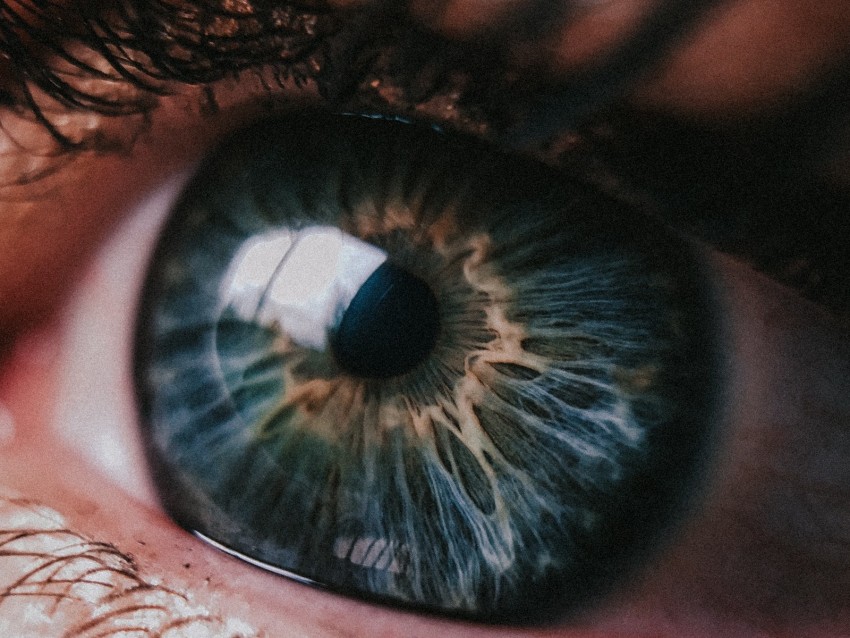 Free download | HD PNG eye pupil closeup highlight eyelashes eyelids 4k ...