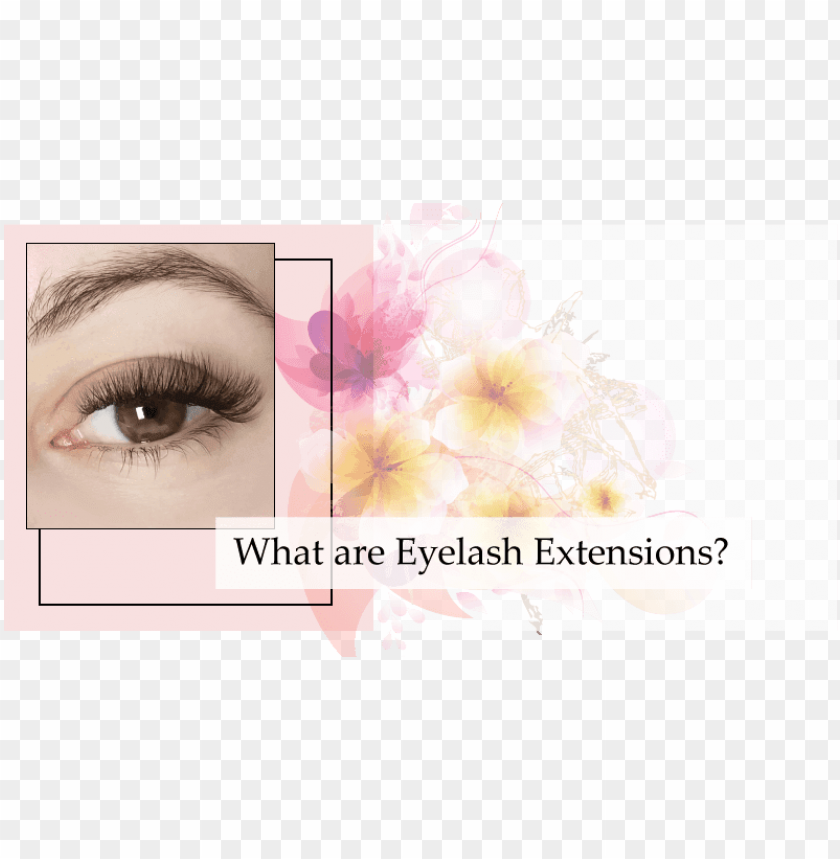 Free download | HD PNG eyelash extensions PNG transparent with Clear ...