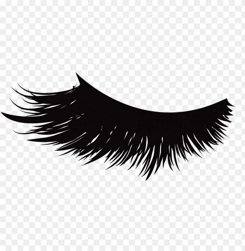 Free download | HD PNG eyelash png images Background - image ID is ...