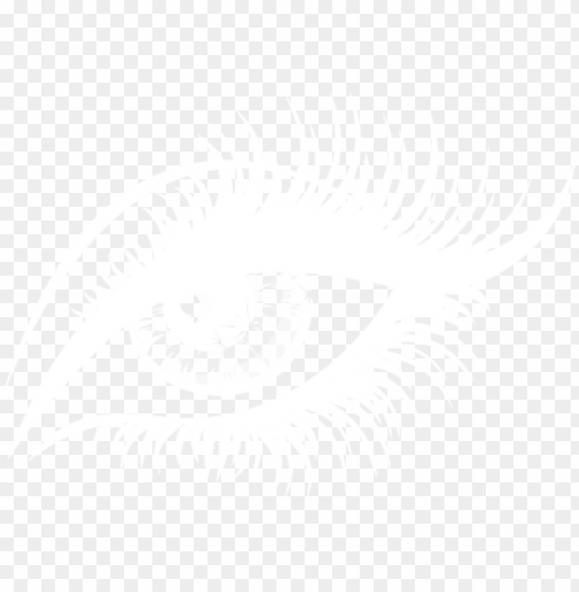 Free download | HD PNG eyelashes eyelash PNG transparent with Clear ...
