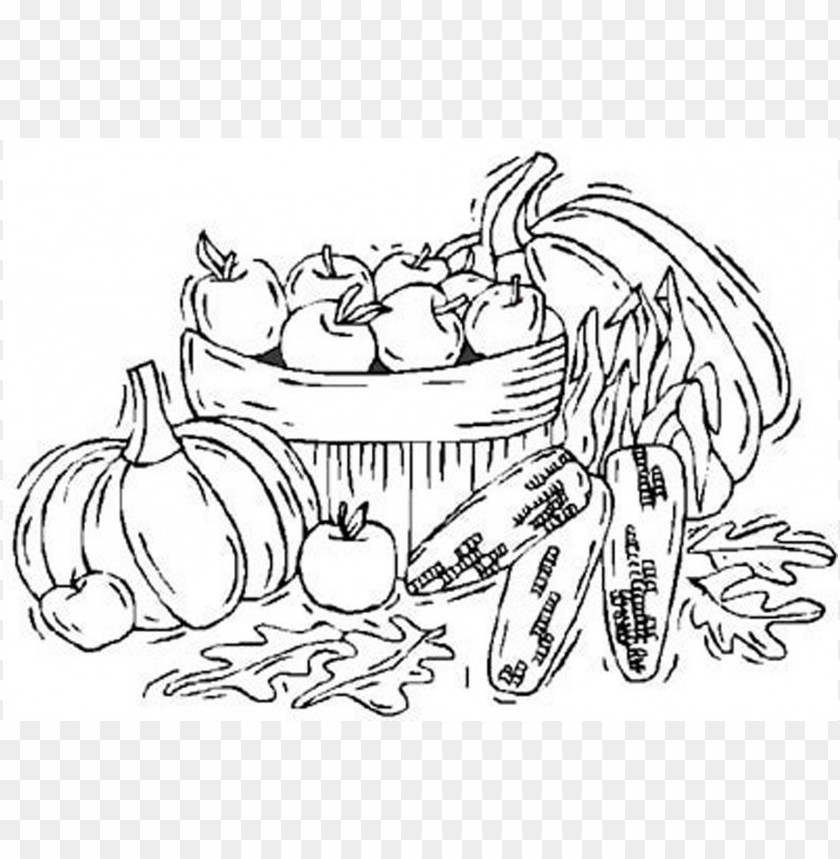 Free download | HD PNG fall colors coloring sheet PNG transparent with ...