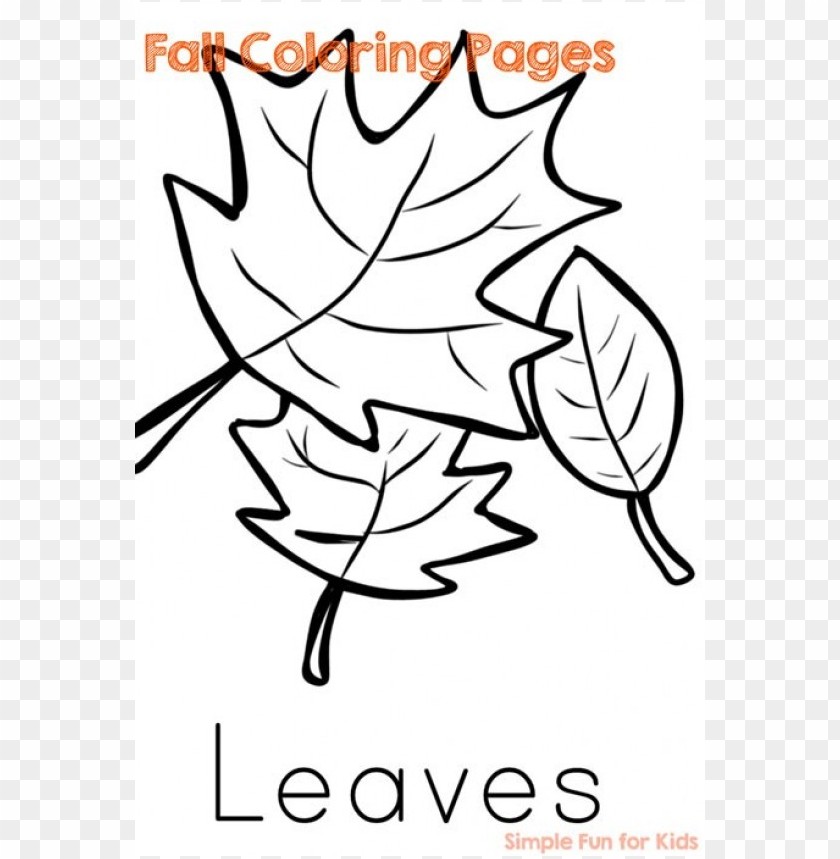 Free download | HD PNG fall colors coloring sheet PNG transparent with ...