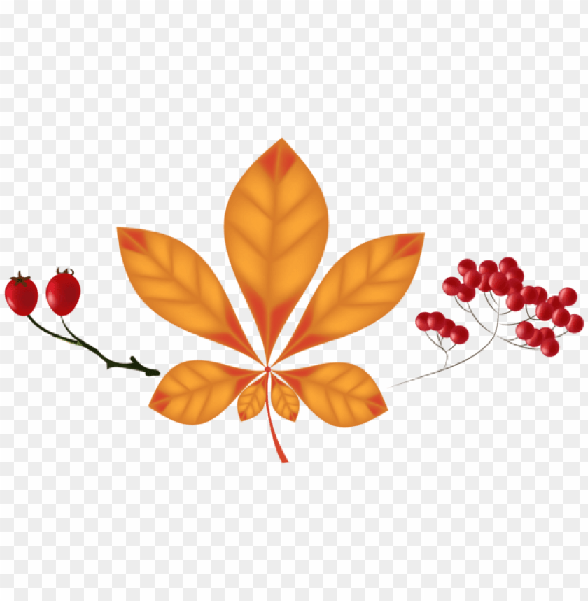 Free download | HD PNG fall deco set clipart png photo - 55341 | TOPpng