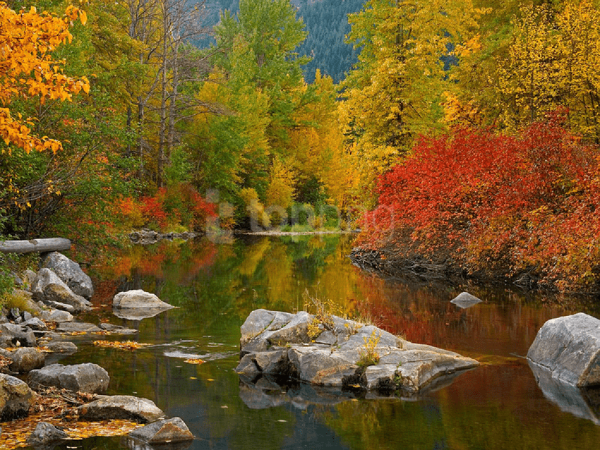 Free download | HD PNG peaceful fall lake 4k background best stock ...