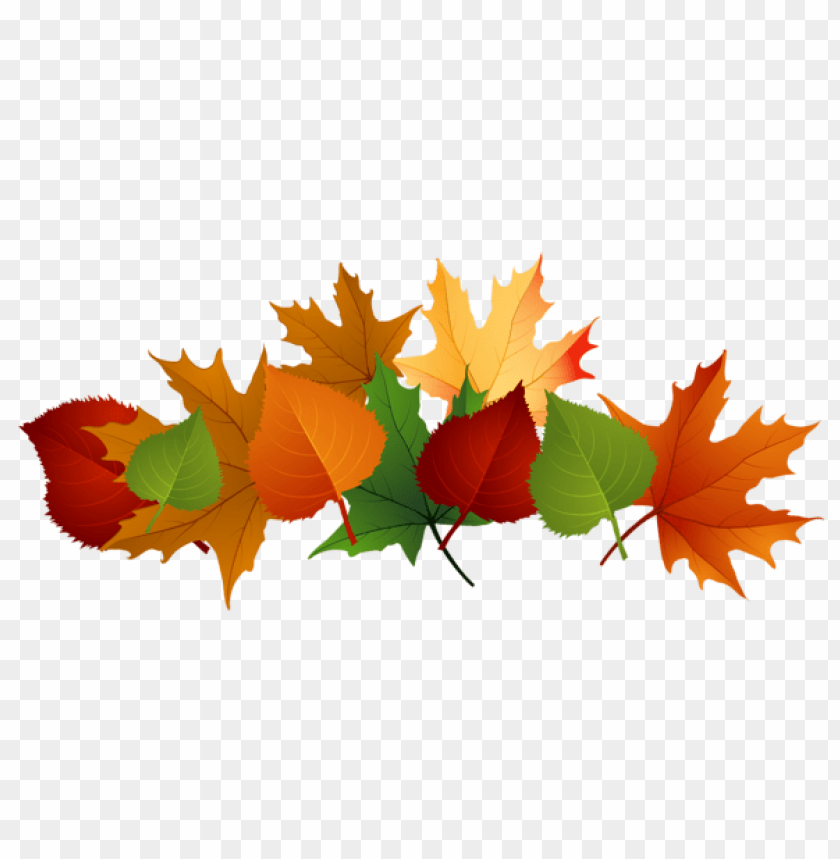 Free download | HD PNG fall leaves clipart png photo - 55634 | TOPpng