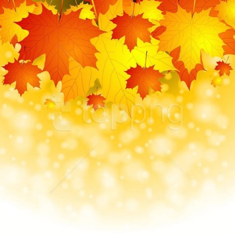 Free download | HD PNG fall leaves background best stock photos - Image ...