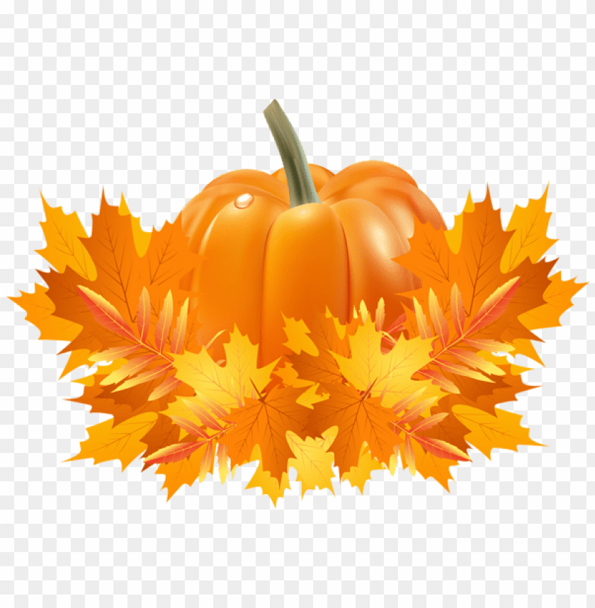 Free download | HD PNG fall leaves and pumpkin decoration png png ...