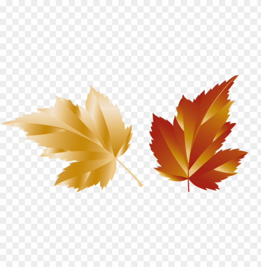 Free download | HD PNG fall transparent leaf picture clipart png photo ...