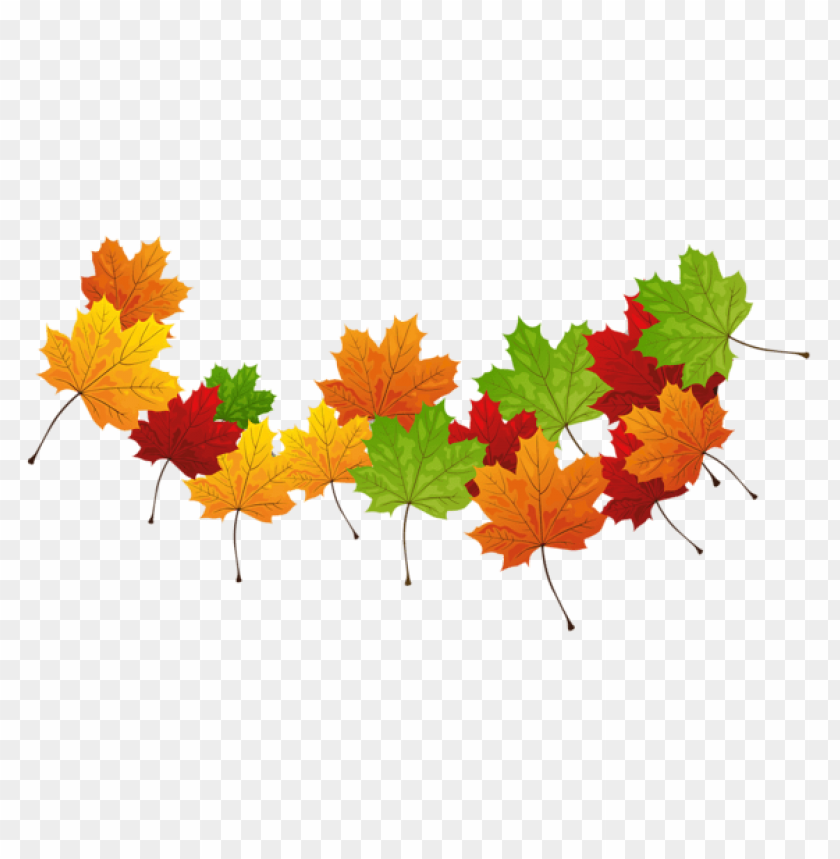 Free download | HD PNG fall transparent leaves clipart png photo ...