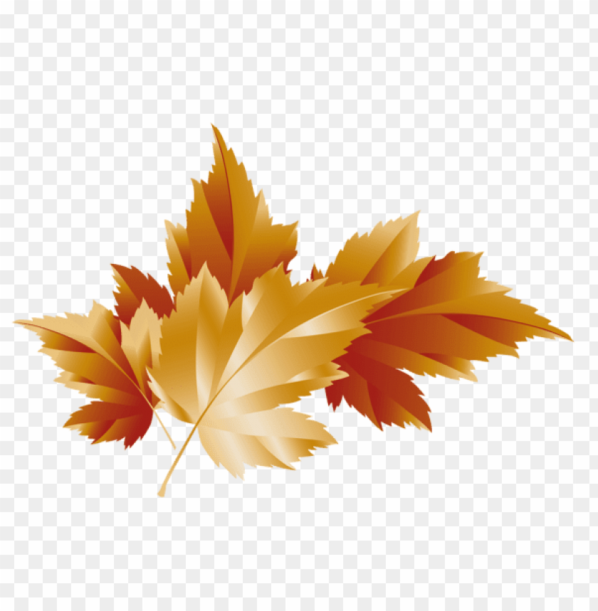 Free download | HD PNG fall transparent leaves decor picture clipart ...