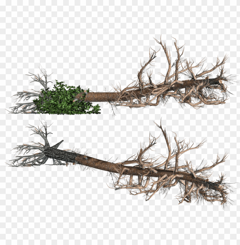 Free download | HD PNG fallen trees 02 png stock by roy3d on deviantart ...