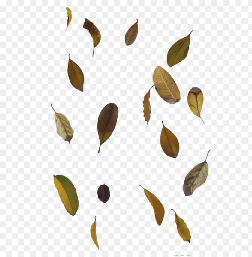Free download | HD PNG falling autumn leaves transparent images leaf ...