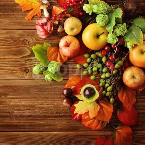 Free download | HD PNG fall fruits and leaves 4k background best stock ...