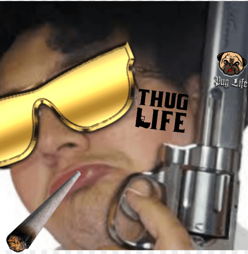 Free download | HD PNG fattypillow firearm PNG transparent with Clear ...