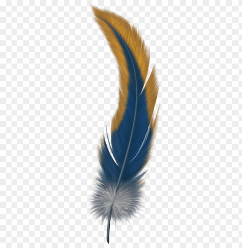 Free download | HD PNG feather | TOPpng