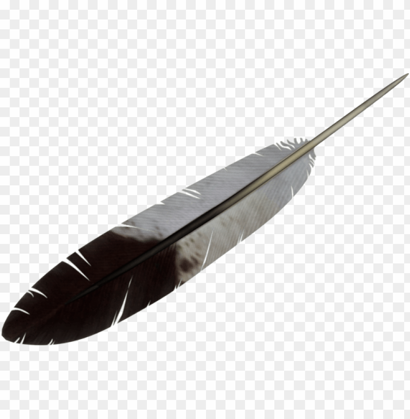 Free download | HD PNG feather | TOPpng