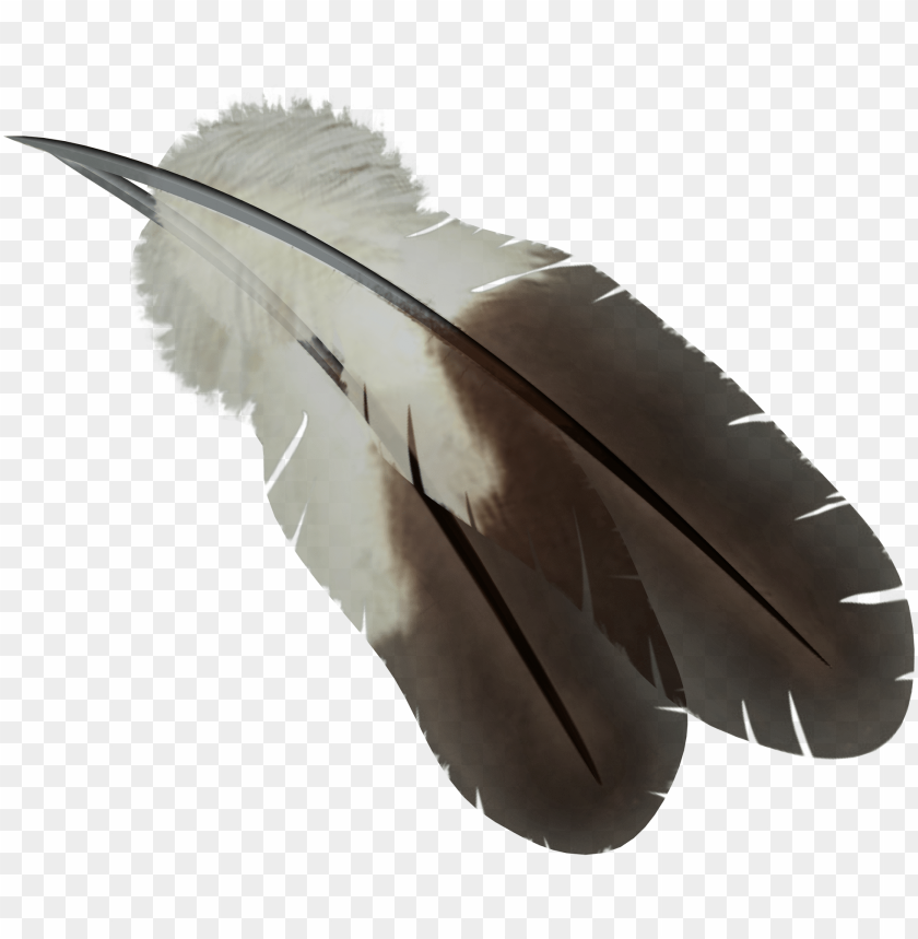 Free download | HD PNG feather | TOPpng