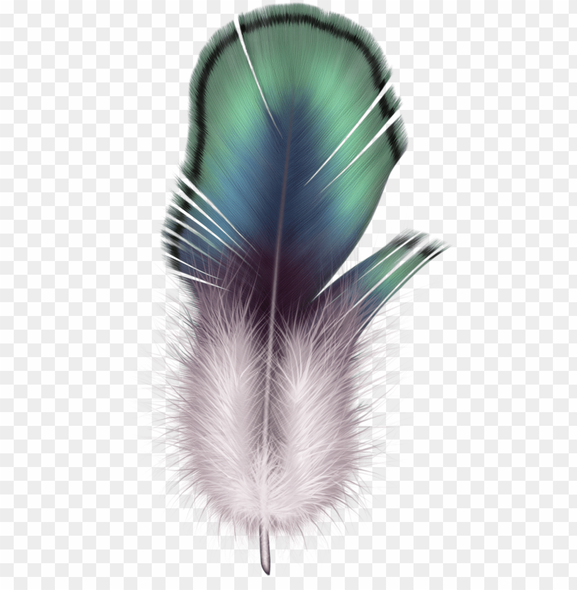 Free download | HD PNG green and purple feather with smooth edges png | TOPpng