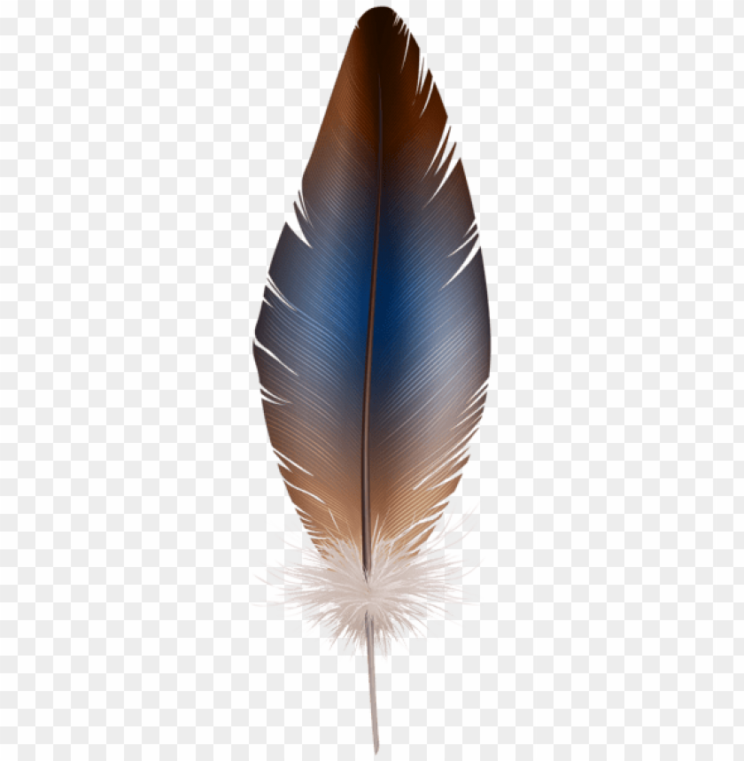 Free download | HD PNG feather clipart png photo - 45424 | TOPpng