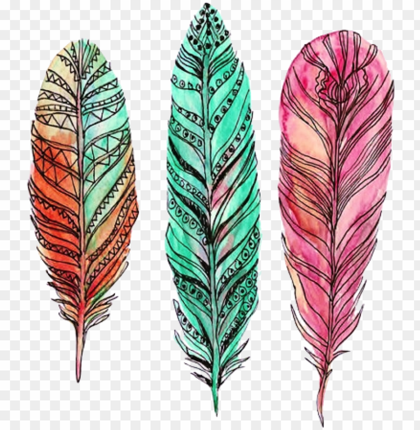 Free download | HD PNG feather drawings with water coloring ideas ...