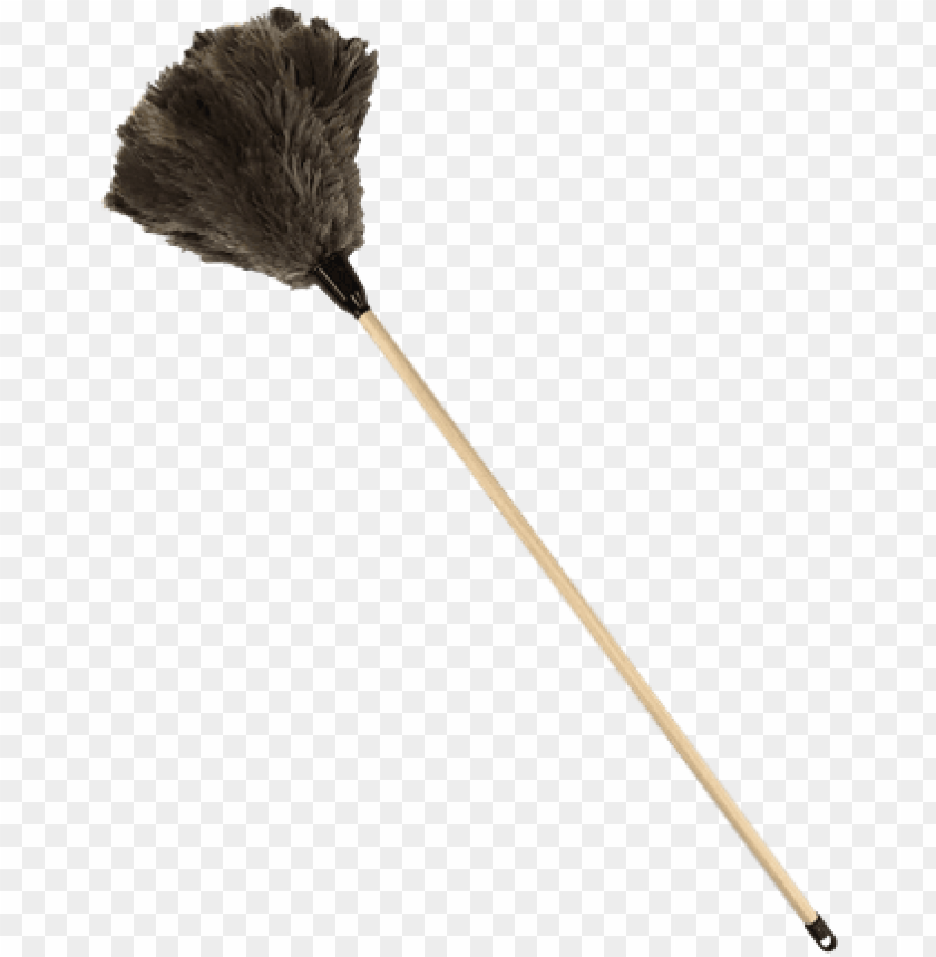 Free download | HD PNG feather duster PNG transparent with Clear ...