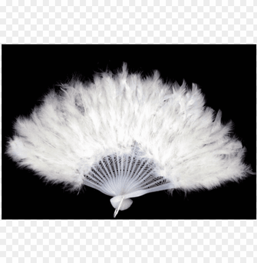Free download | HD PNG feather fan white approx feather fan PNG ...