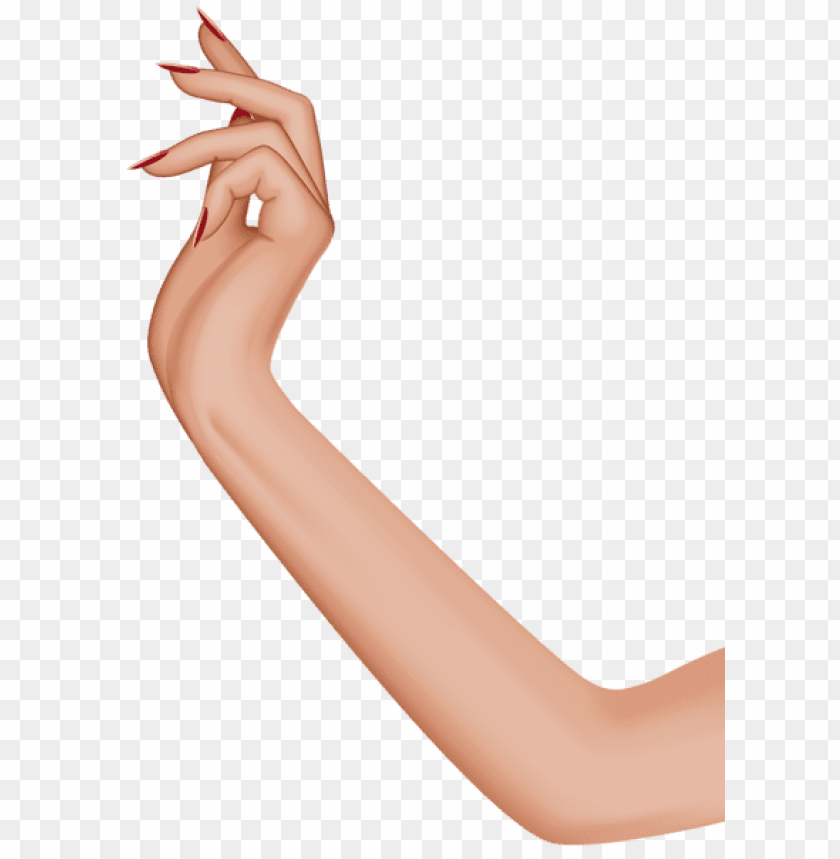 Free download | HD PNG female hand clipart png photo - 48256 | TOPpng