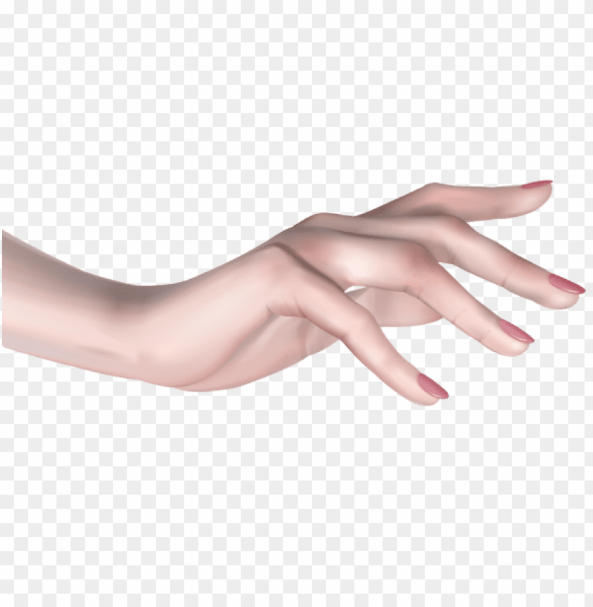 Free download | HD PNG female hand clipart png photo - 48376 | TOPpng