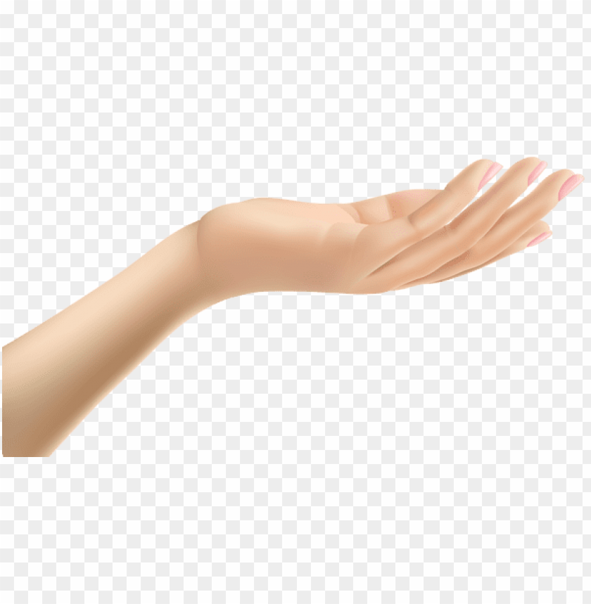 Free download | HD PNG female hand transparent clipart png photo ...