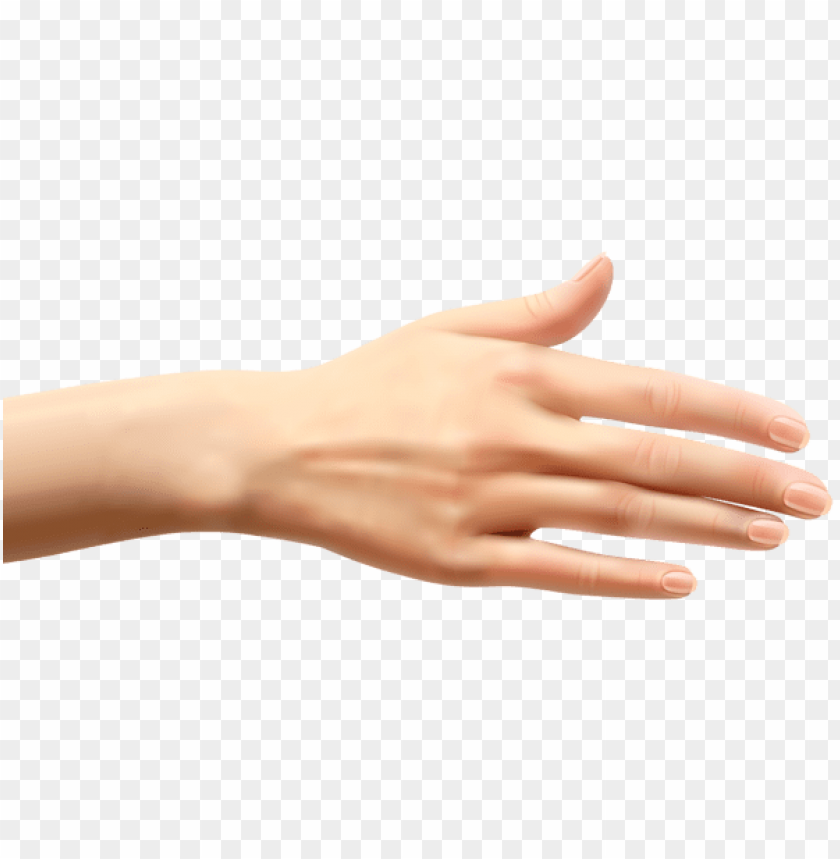 Free download | HD PNG female handpng clipart png photo - 48363 | TOPpng