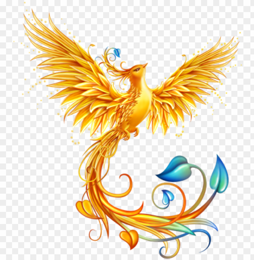 Free download | HD PNG феникс PNG transparent with Clear Background ID ...