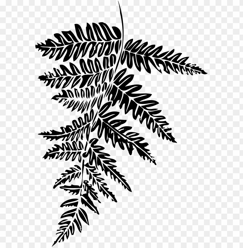 Free download | HD PNG fer PNG transparent with Clear Background ID ...
