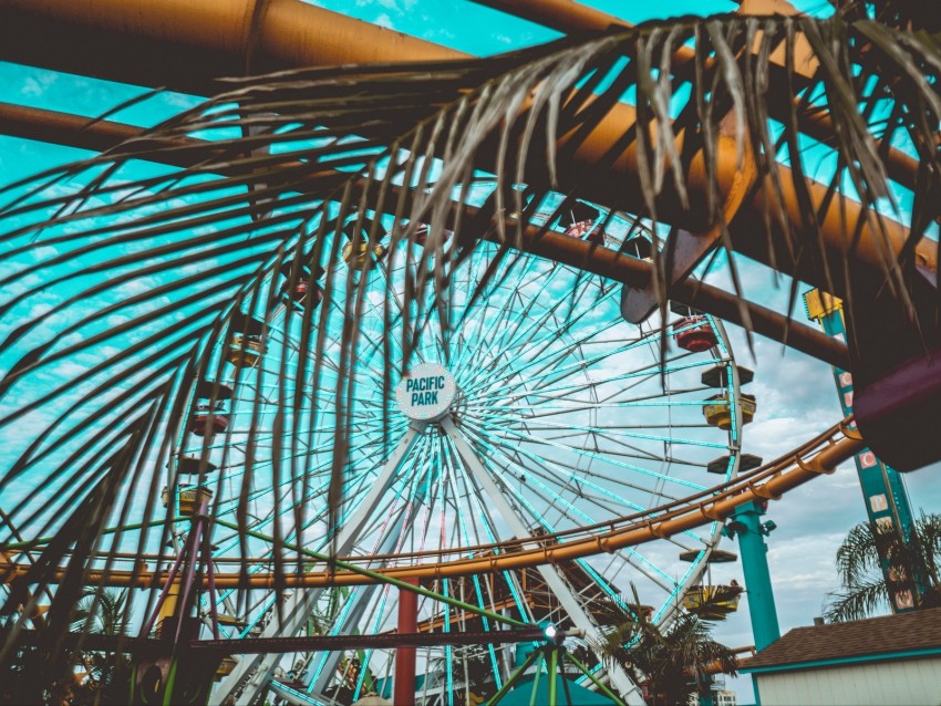 Free download | HD PNG ferris wheel attraction palm tree leaves 4k ...