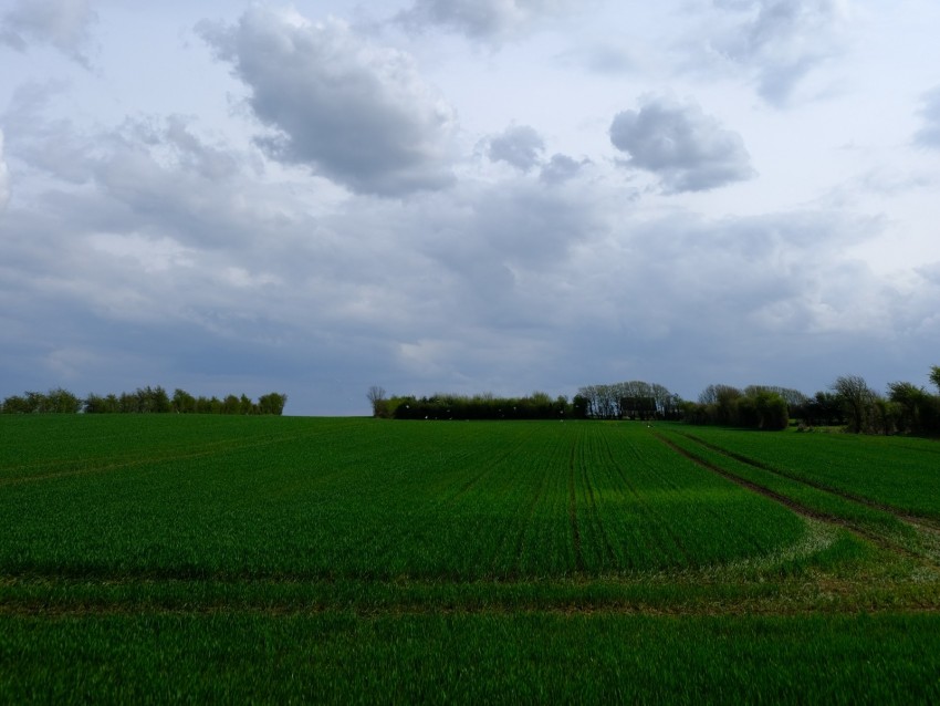Free download | HD PNG field grass horizon clouds 4k wallpaper | TOPpng