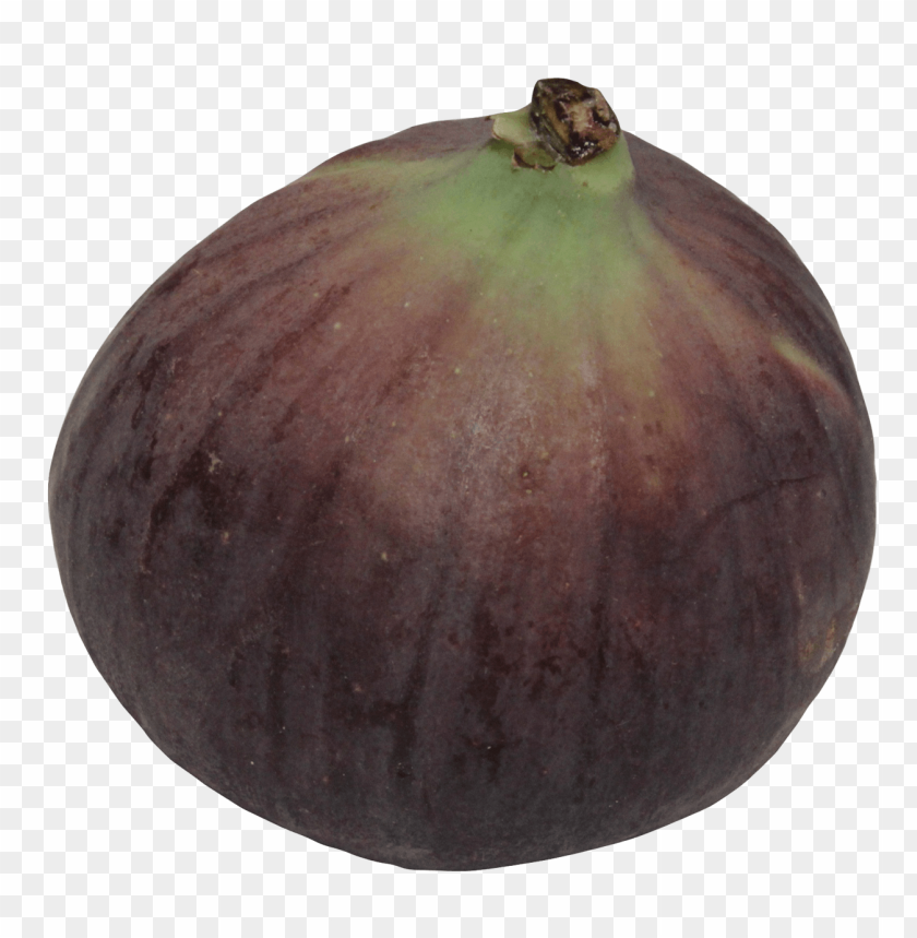 Free download | HD PNG whole and cut fig illustration | TOPpng