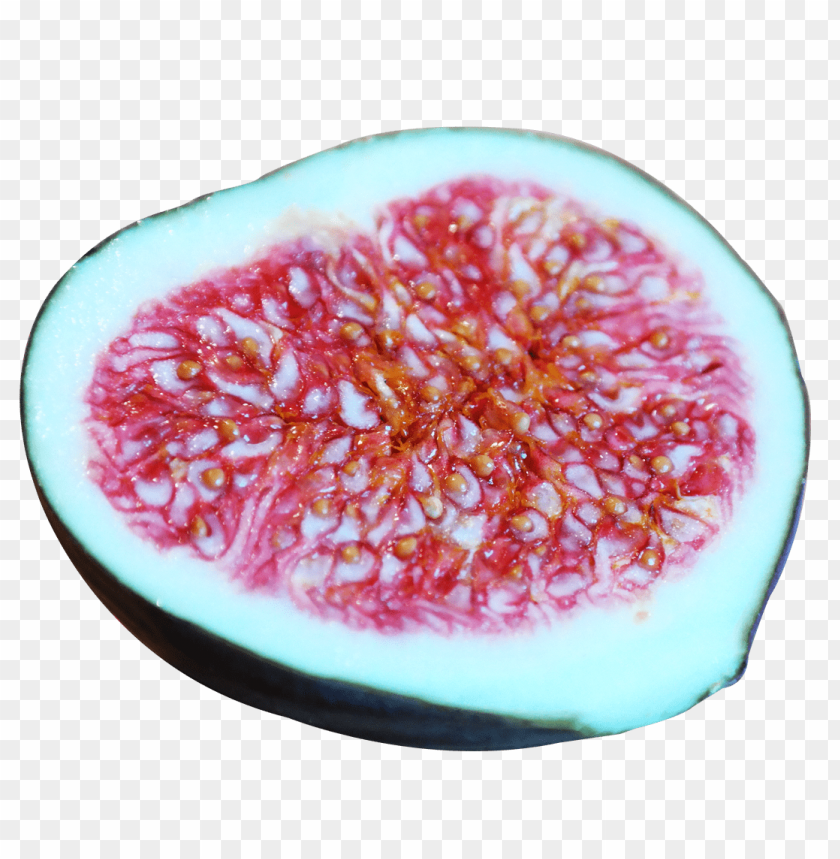 Free download | HD PNG fig PNG images with transparent backgrounds ...