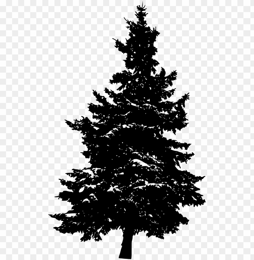 Free download | HD PNG file size pine tree transparent PNG transparent ...