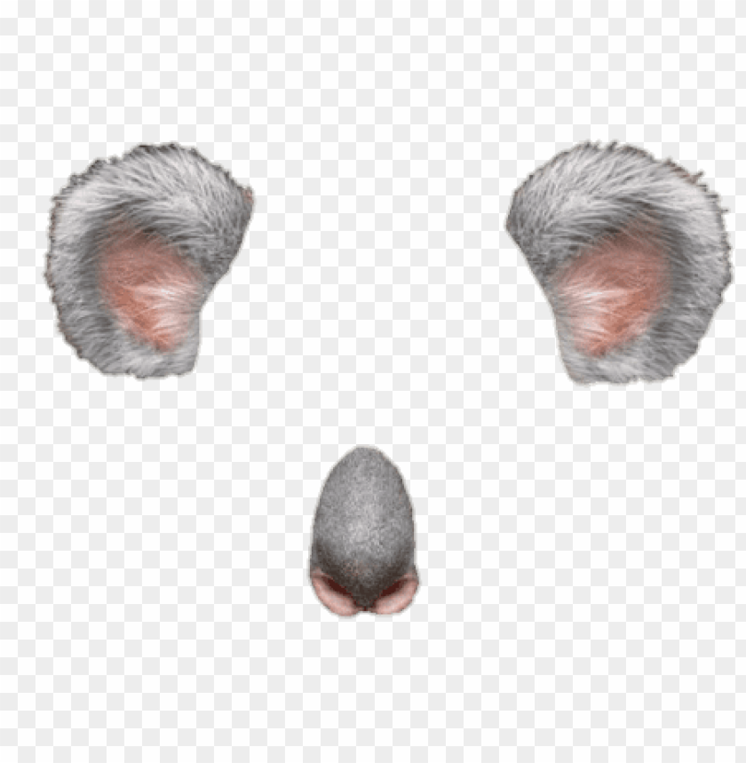 Free download | HD PNG filtros snapchat PNG transparent with Clear ...