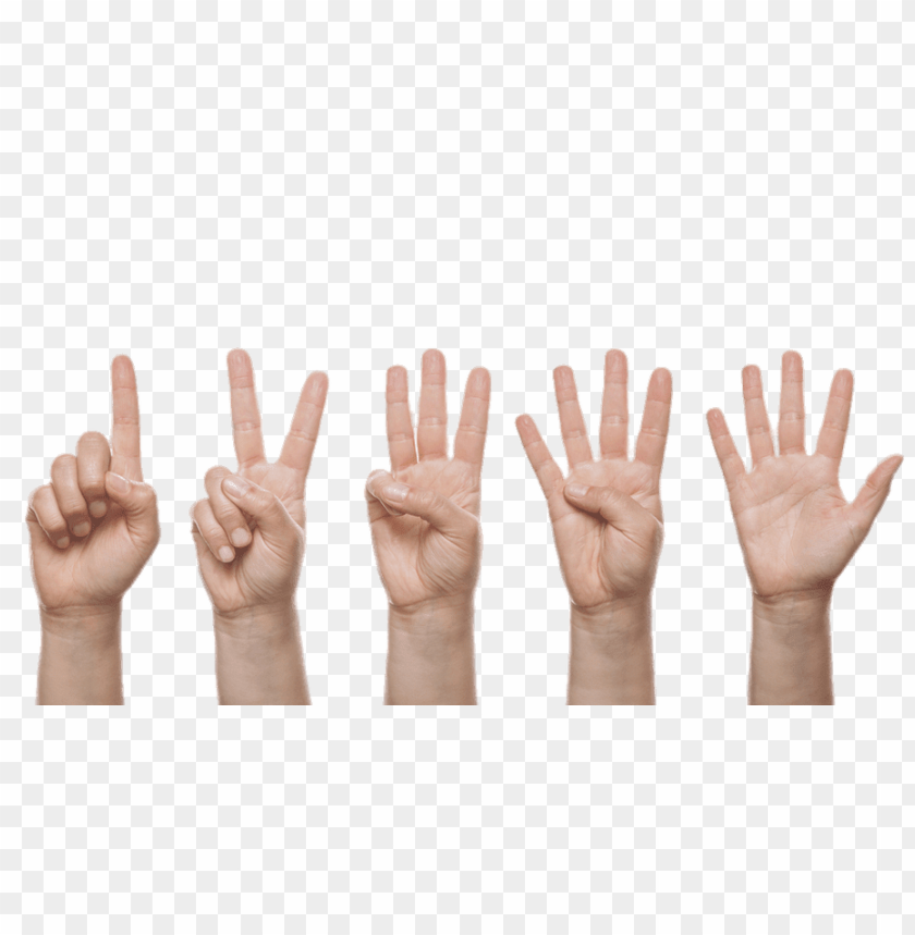 Free download | HD PNG finger counting PNG transparent with Clear ...