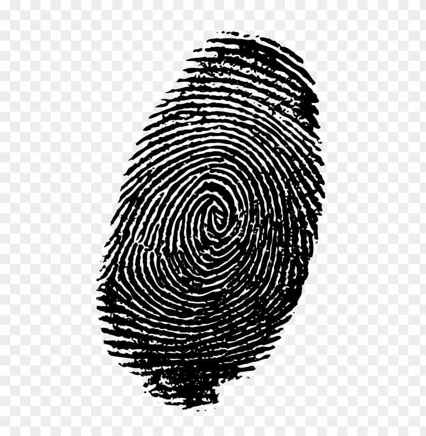 Free download | HD PNG fingerprint png PNG transparent with Clear ...
