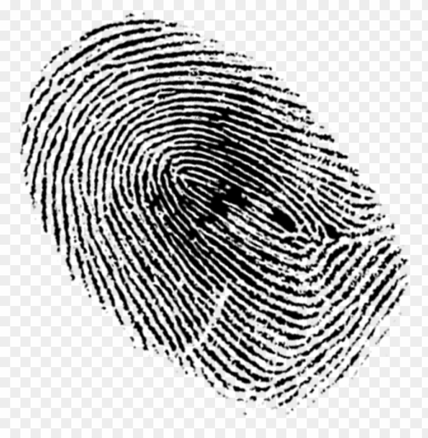 Free download | HD PNG fingerprint png PNG transparent with Clear ...