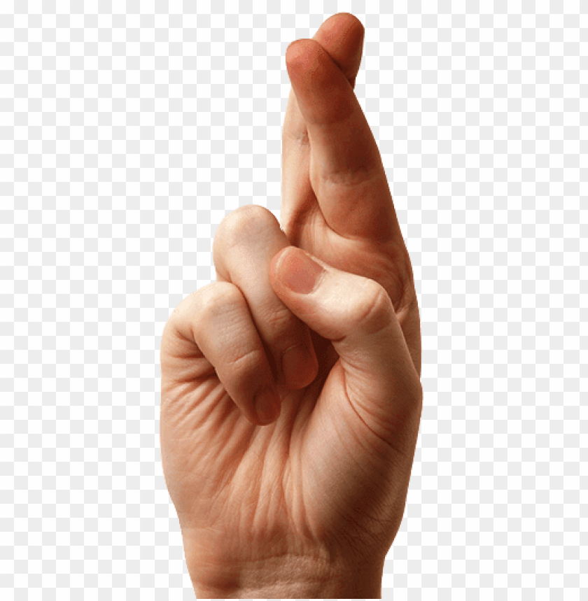 Fingers PNG & clipart images | TOPpng